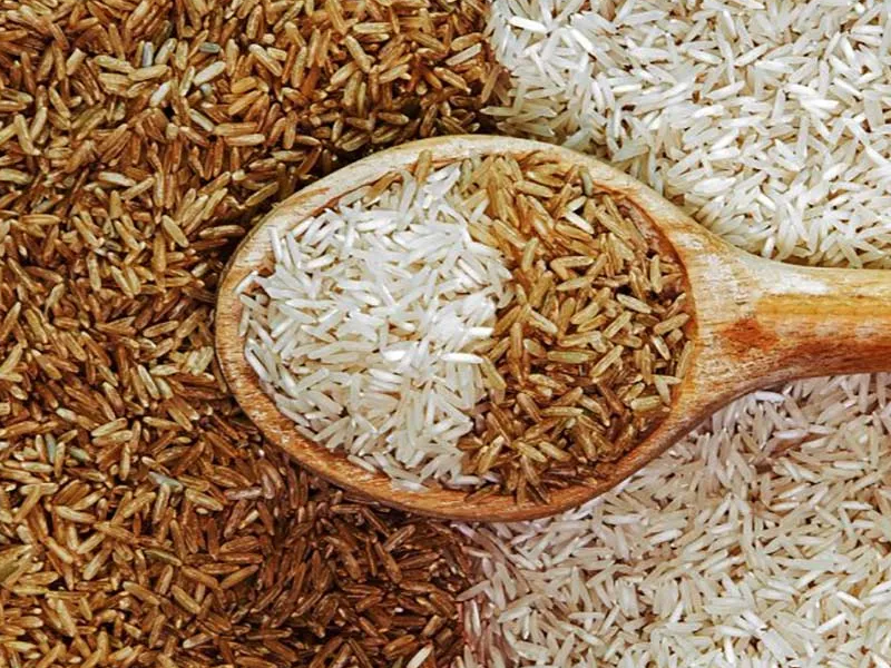 E-Auction of Wheat and Rice by Food Corporation of India - AgriInsite