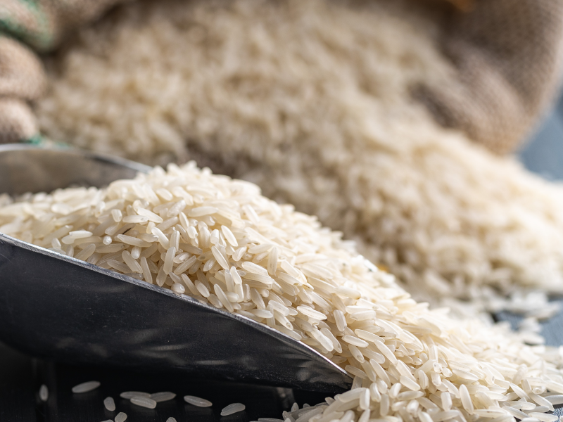 New herbicide-tolerant rice varieties could damage biodiversity and ...