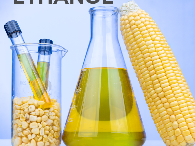 Corn-based ethanol is not as good for the climate as once thought ...