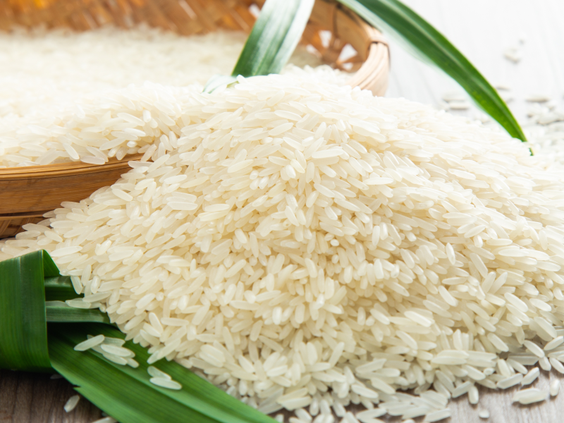 University of California researchers create disease-resistant rice by ...
