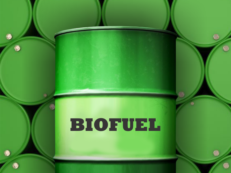 Singapore Seeks Growth in Biofuels Trade Amid Energy Transition ...