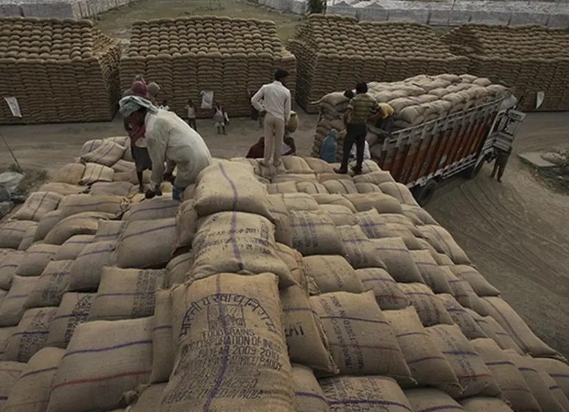 Wheat piles up in Muktsar mandis as lifting lags - AgriInsite