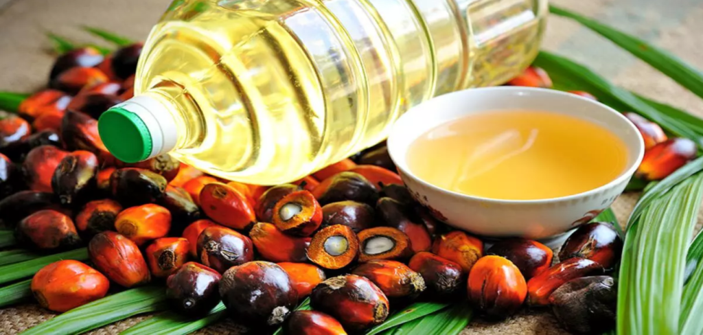 Time to adapt regenerative farming system in oil palm - AgriInsite