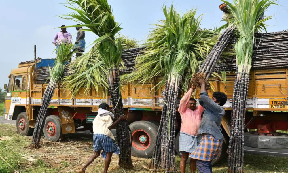Indian sugar industry ready to ramp up ethanol capacity - AgriInsite