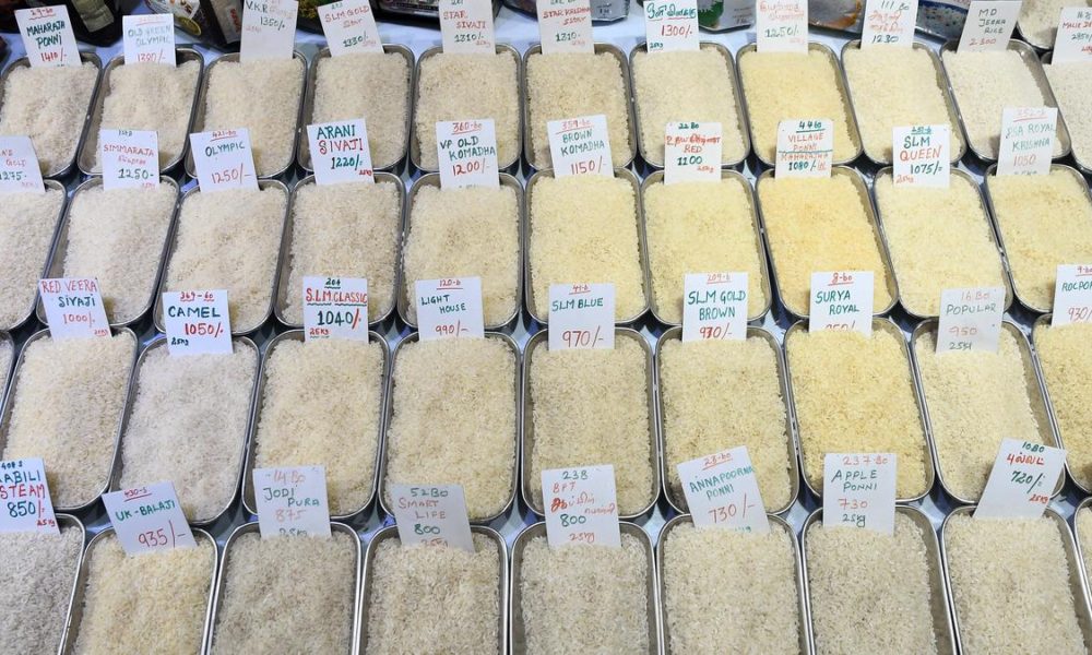 PAU’s rice variety gains popularity - AgriInsite