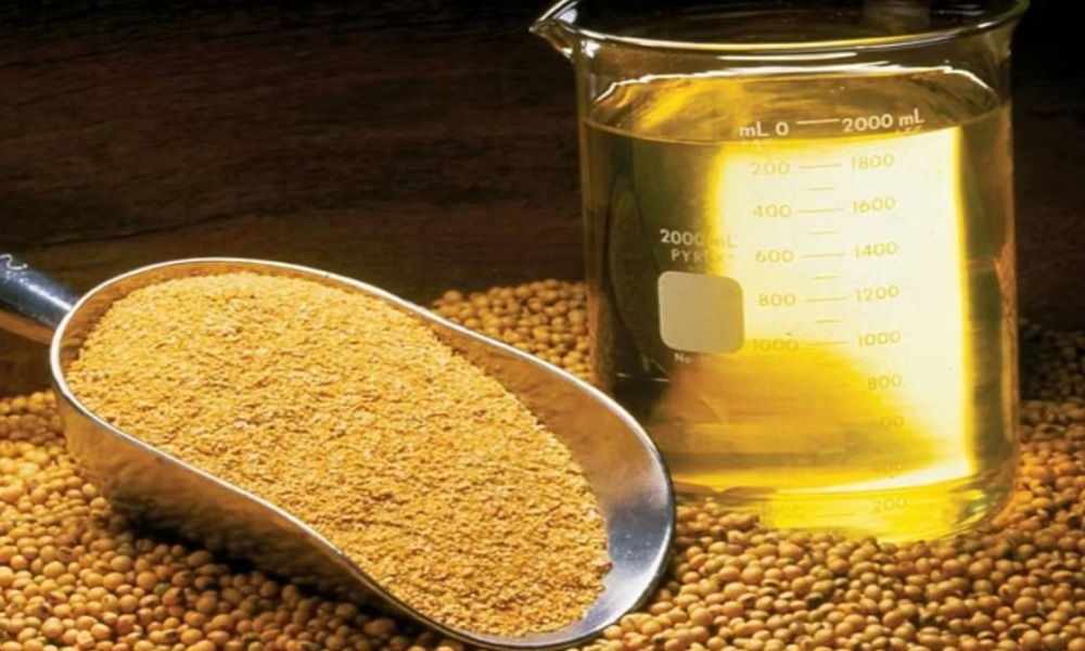 Cooking oil & ghee prices decreases in Pakistan after Budget 2024-25 ...