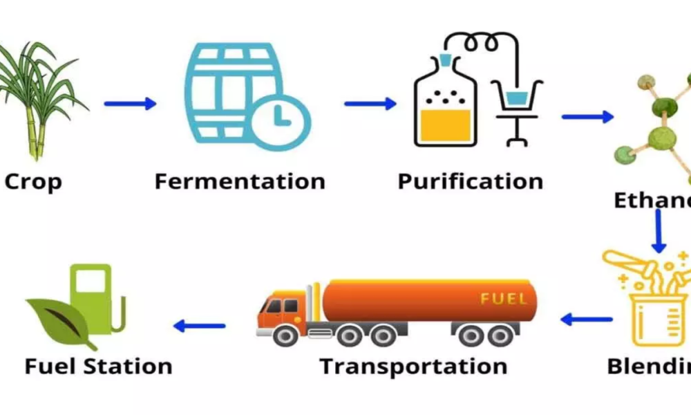 Rethinking grain-based ethanol blending requires a holistic approach ...