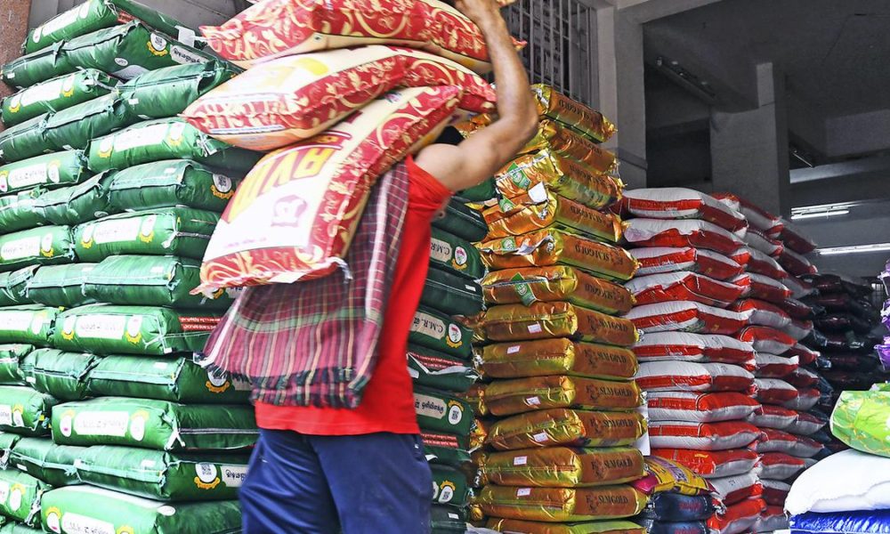 Basmati rice exporters express ‘shock’ over curbs, demand urgent solution - AgriInsite
