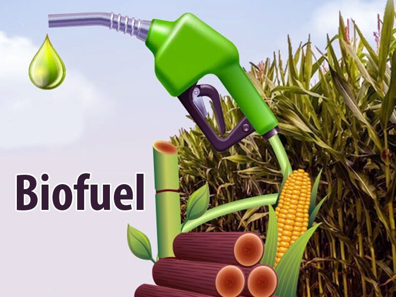 Indian Standards on Biofuel to Aid GBA’s Clean Energy Goals - AgriInsite