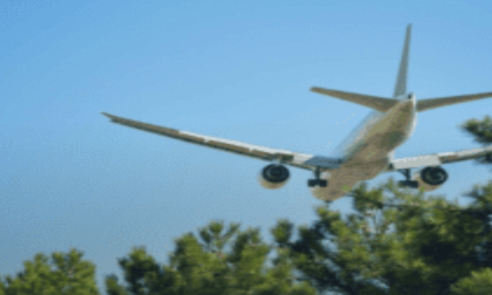 Lighthouse Green Fuels begins work on sustainable aviation fuel project ...
