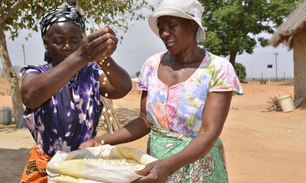 Over 1,000 farmers in Techiman benefit from PFJ Phase Two Free ...