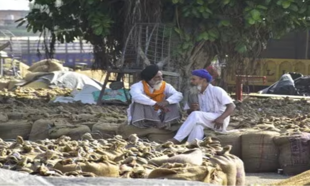 Only 34% of paddy lifted as millers strike continues against FCI ...