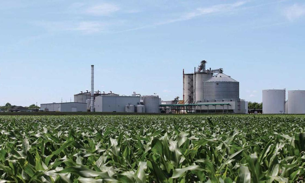 Indiana corn/soybean producers gearing up to get biofuels tax credit ...
