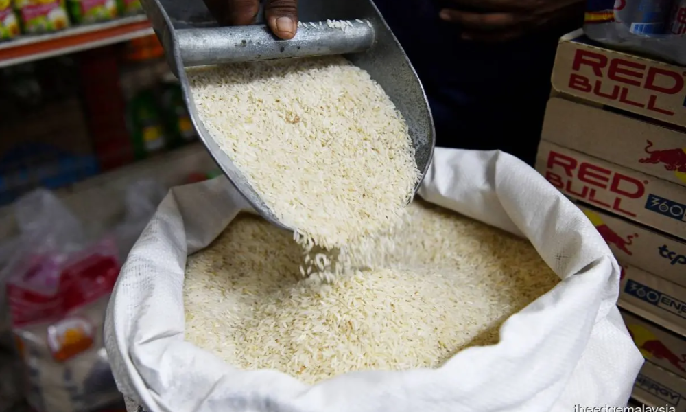 ‘Rice bowl of Andhra Pradesh’ braces to face cyclone Michaung - AgriInsite