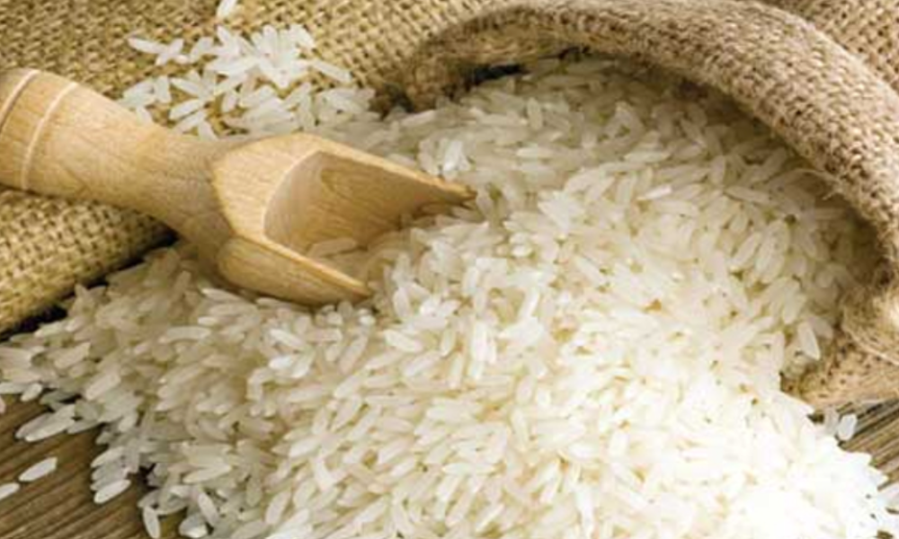 Chinese scientists achieve speed breeding of rice in desert - AgriInsite