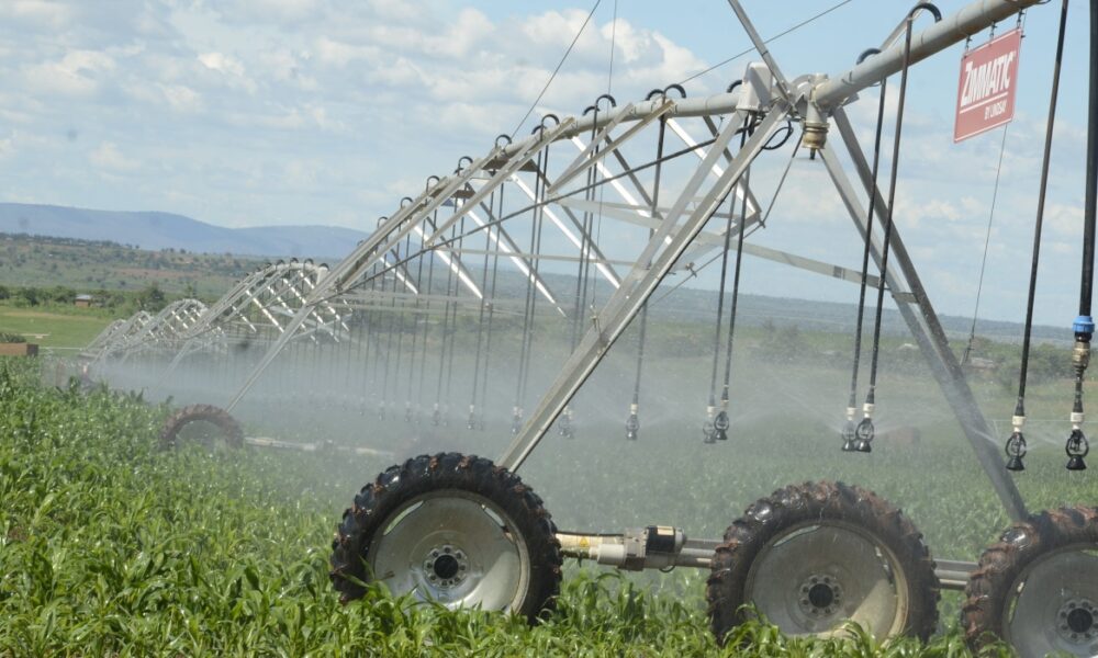 Gov’t highlights major plans to boost food crops production - AgriInsite