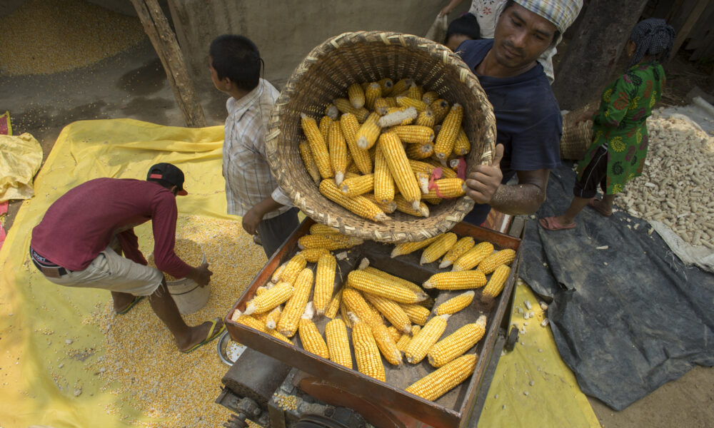 International Conference on Strengthening Maize Value Chain in Nepal ...