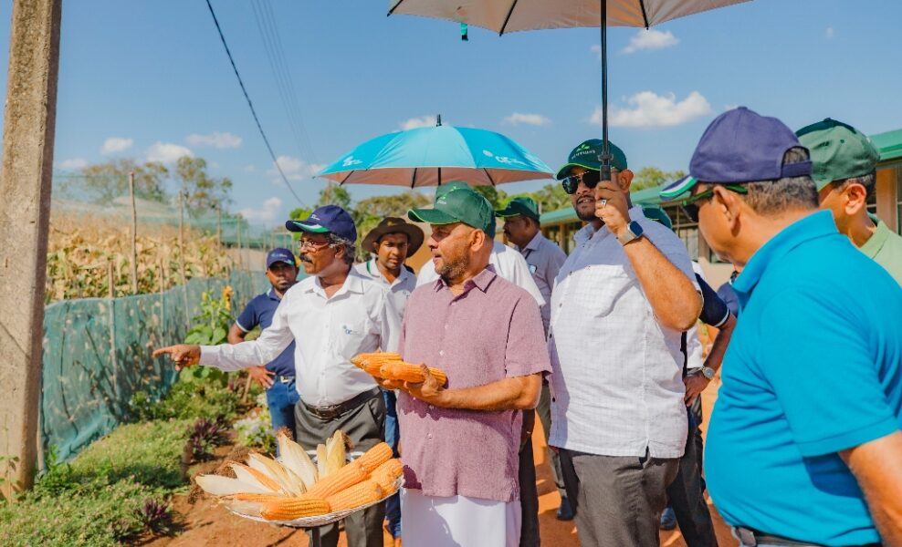 Sri Lanka Ready to export seeds varieties for the first time - AgriInsite