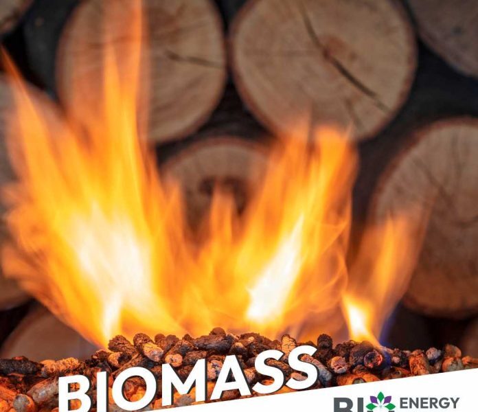 Vietnam: Erex holds ground-breaking ceremony for two biomass plants ...