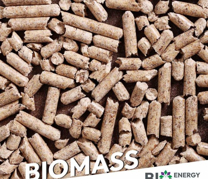 Erex to expand biomass operations in Vietnam - AgriInsite