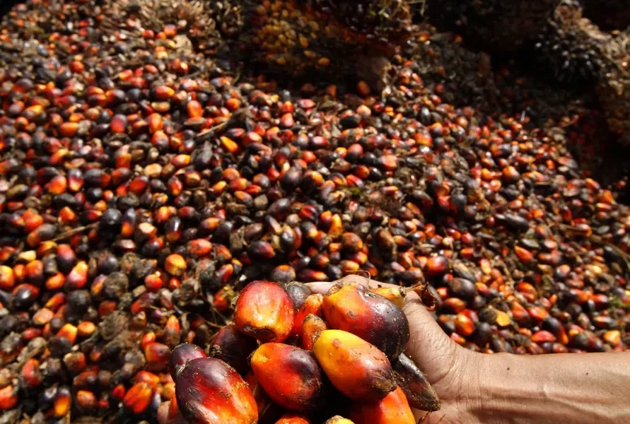 Palm oil prices in Asia have hit a three-month high amid rising prices ...