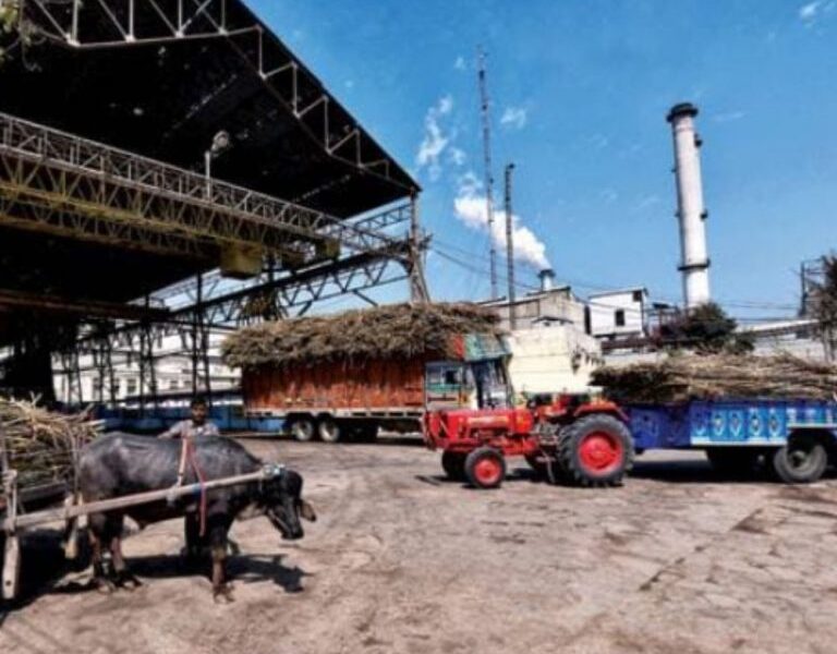 Baghpat: Six sugar mills owes cane dues worth Rs 354 crore - AgriInsite