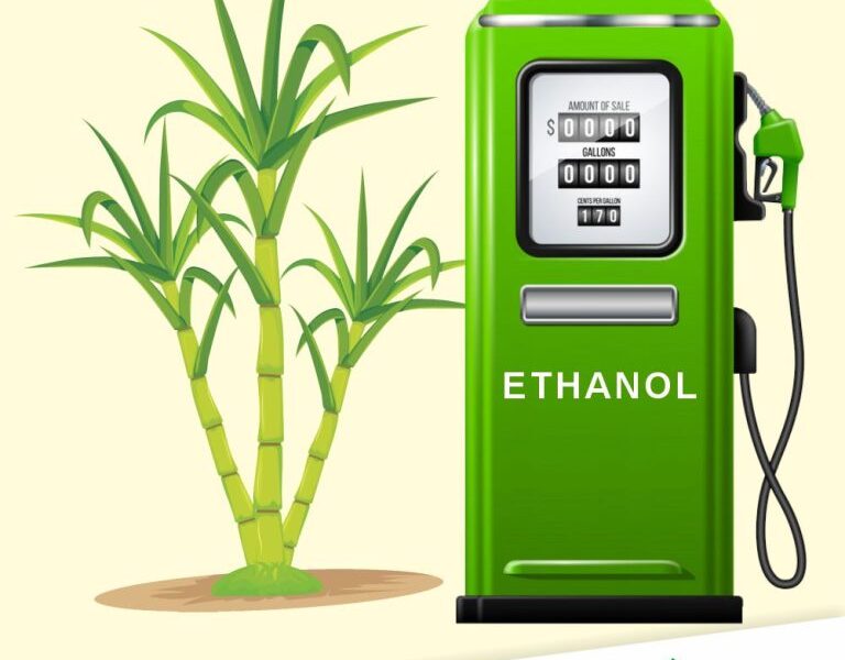 Brazil: Raizen ships 2G ethanol cargo to European Union - AgriInsite