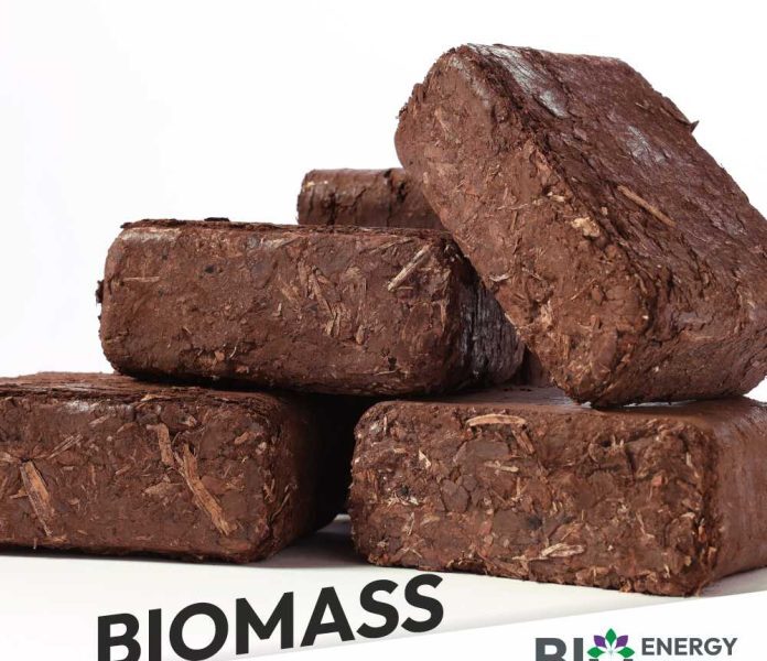 BiofuelCircle expanding its reach into rural India to build sustainable ...