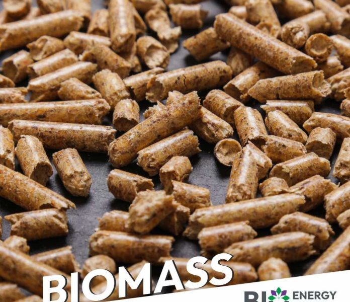 Taunton specialist poultry farm refurbishes biomass boiler - AgriInsite