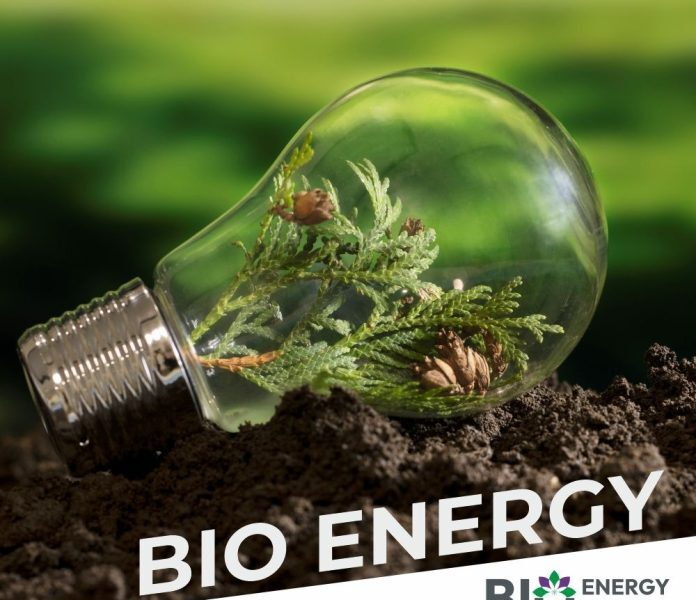 US: BASF launches xarvio BIOENERGY in the US to help lower the CI of ...