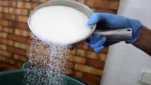 Sugar production updates by NFCSF till March 31 - AgriInsite