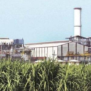India approves subsidy for cane farmers to help sugar mills: source ...