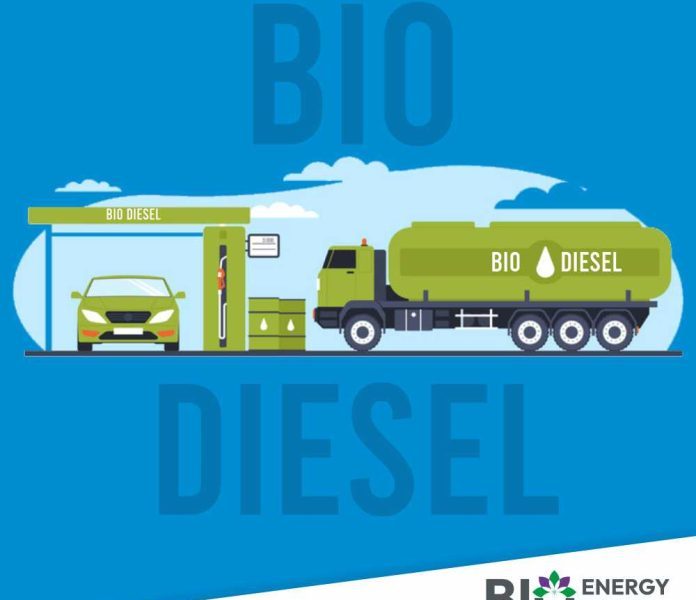 Biodiesel B50: Indonesia intensifies oil palm cultivation to increase ...