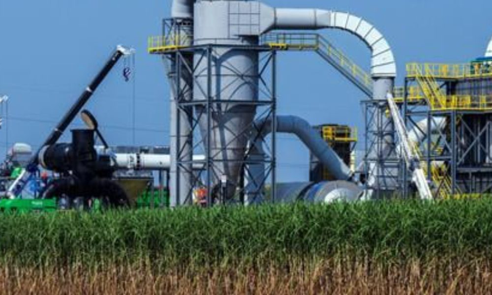 Current FCI rice and maize price not viable for ethanol production ...