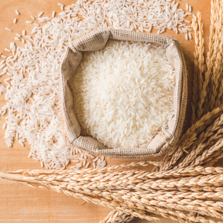 Bangladesh : Paddy prices slightly lower as import continues, millers ...
