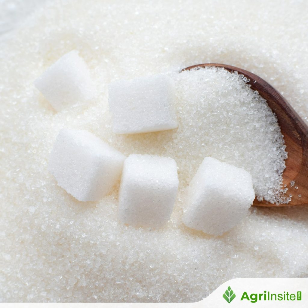 NY Sugar Prices Rally on Lower Indian Sugar Production and Strength in ...