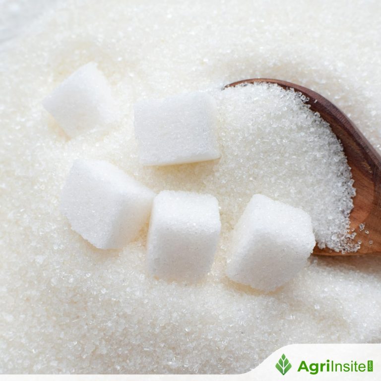 Sugar export ban to help maintain domestic supplies as stocks tighten ...