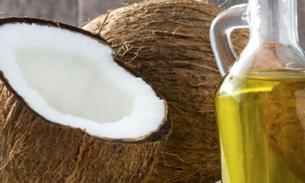 USDA flags potential biodiesel shortage due to rising coconut oil ...