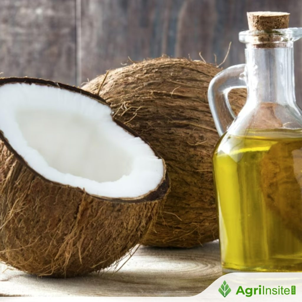 Nigeria unveils strategy to revive palm oil sector, targets 10% global ...