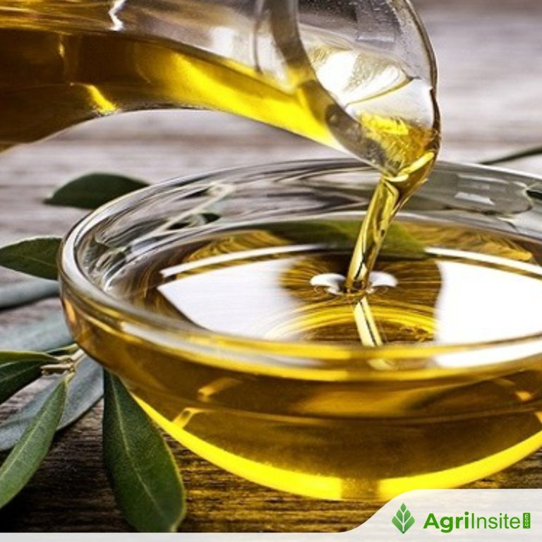 India's edible oil output likely at 9.6 mn ton in 2025-26 - AgriInsite