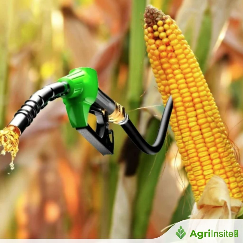 E30 boost: Brazil increases ethanol and biodiesel fuel mandates ...