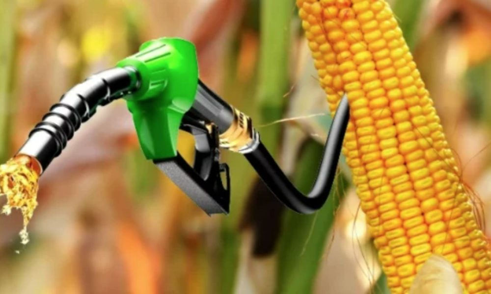 Grain Ethanol Grows Amidst the Cane - AgriInsite