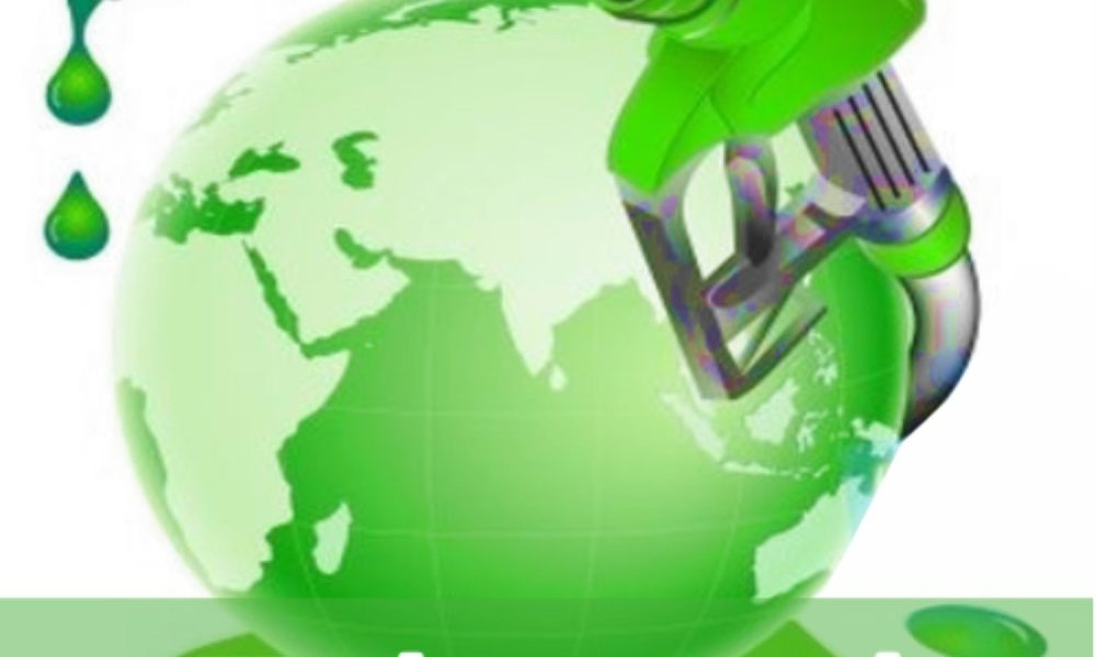BP completes acquisition of Bunge’s share of BP Bunge Bioenergia ...
