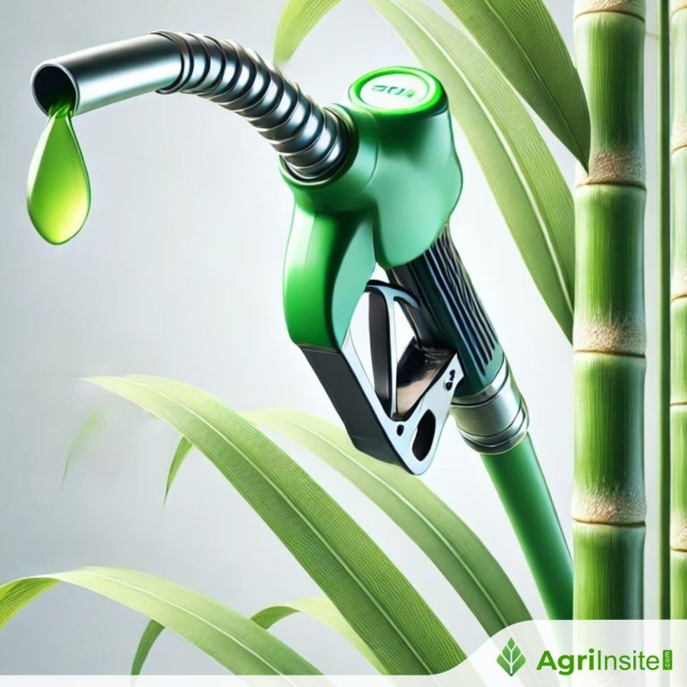 January WASDE maintains 2024-’25 forecast for corn use in ethanol ...