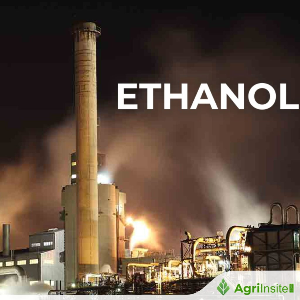 Brazil’s largest sugar and ethanol maker Raizen looks at asset sales ...