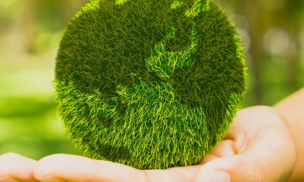 Green hydrogen plants to get 19,500-MW ISTS feed by FY30 - AgriInsite