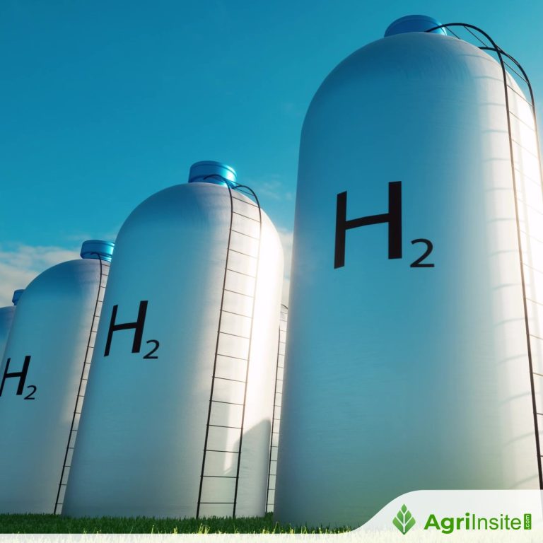 De Nora & Maffei to build green hydrogen plant in Sardinia,Italy ...