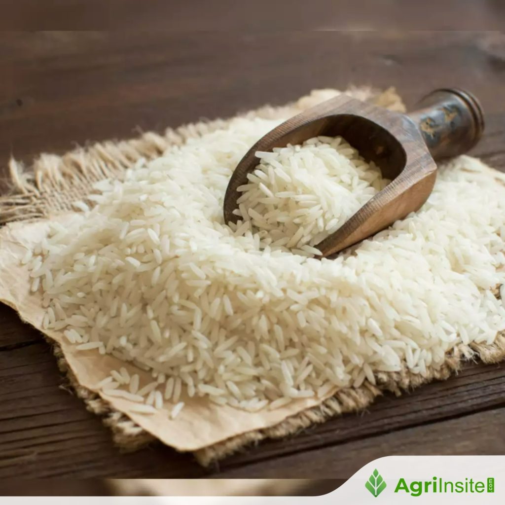 Cambodia exports nearly 569,000 tonnes of milled rice, earns $327 ...