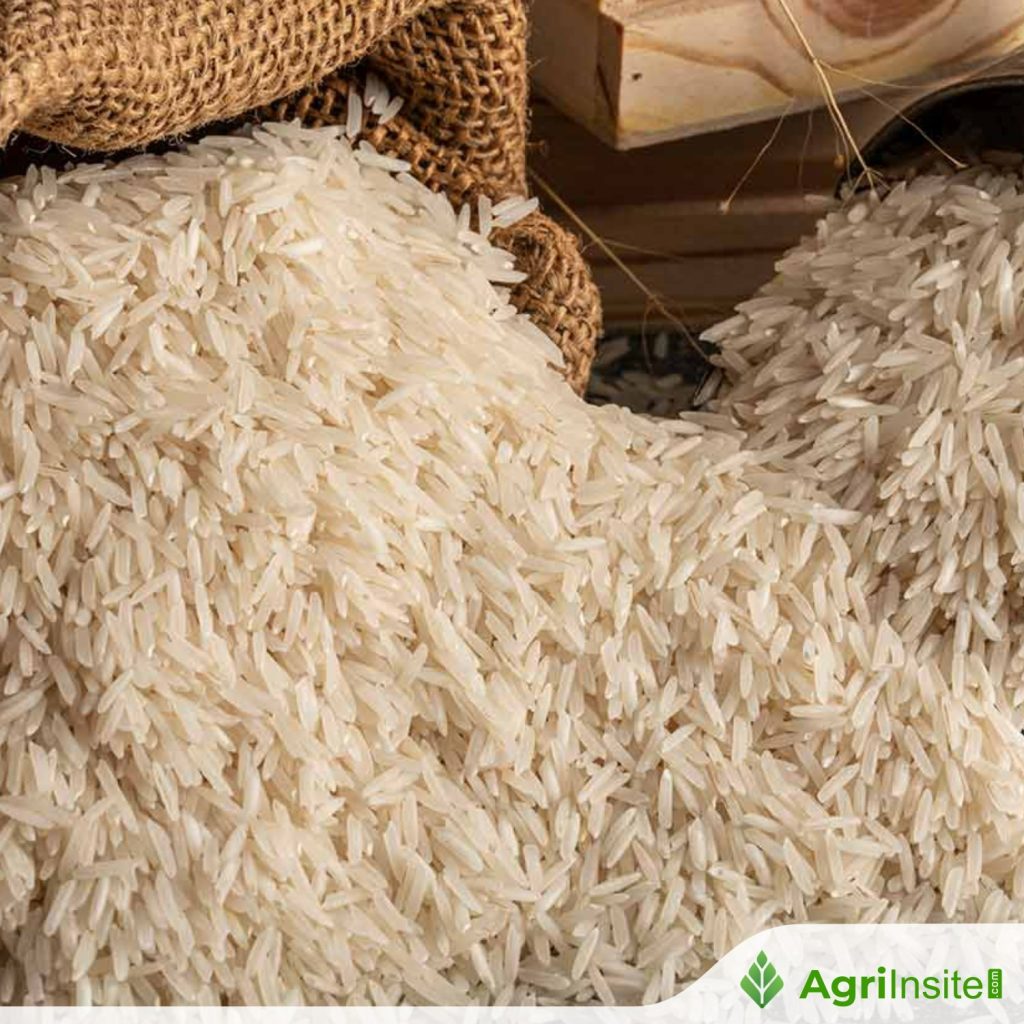 Philippines remains the world’s largest rice importer - AgriInsite