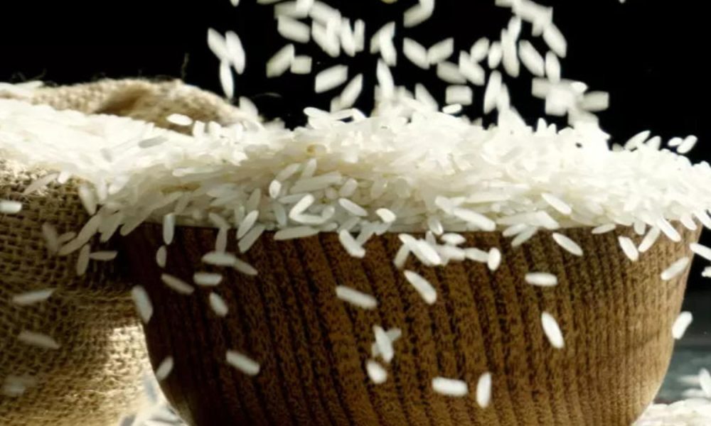 Telangana begins exporting rice to the Philippines - AgriInsite